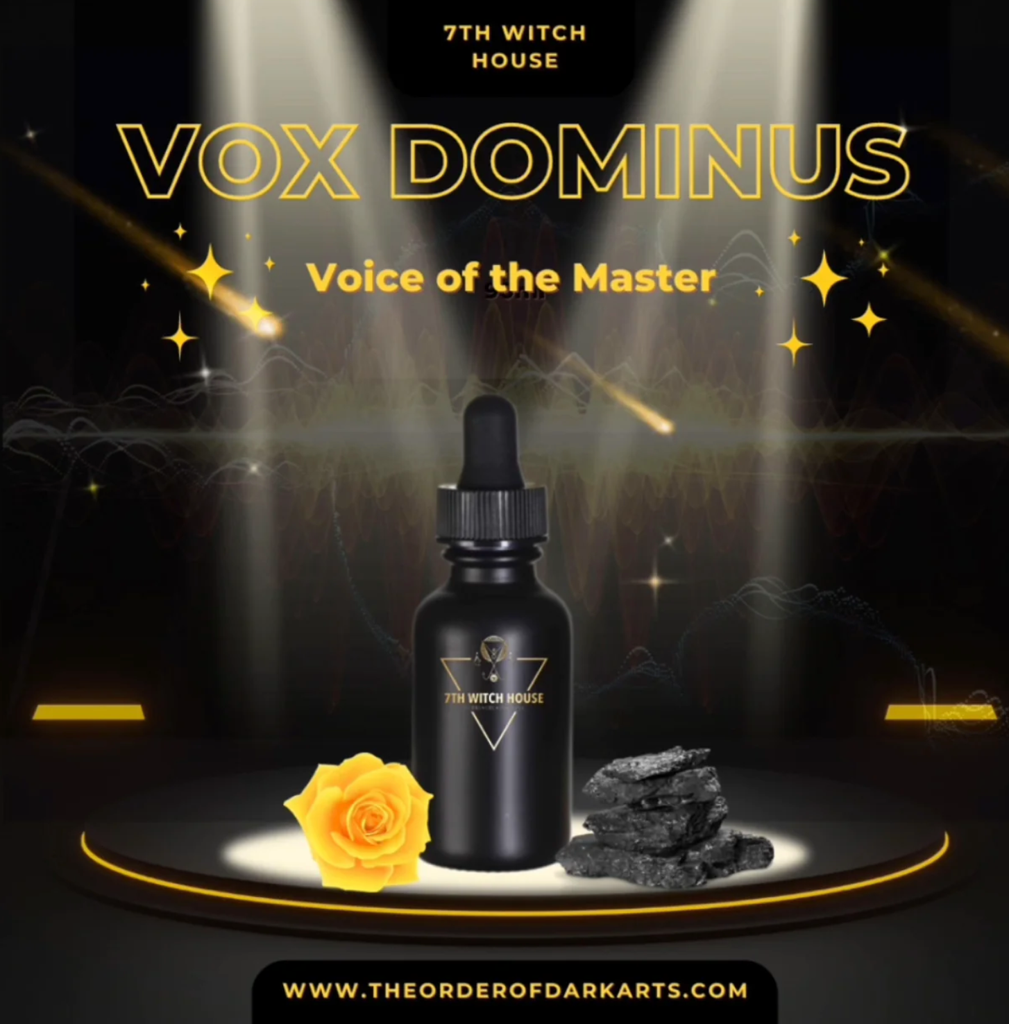 Unleash the Power of Your Voice with Vox Dominus – The Order