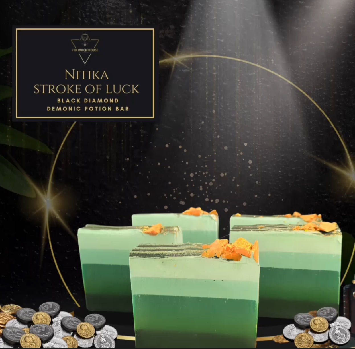 Nitika Stroke of Luck Potion Bar – The Order