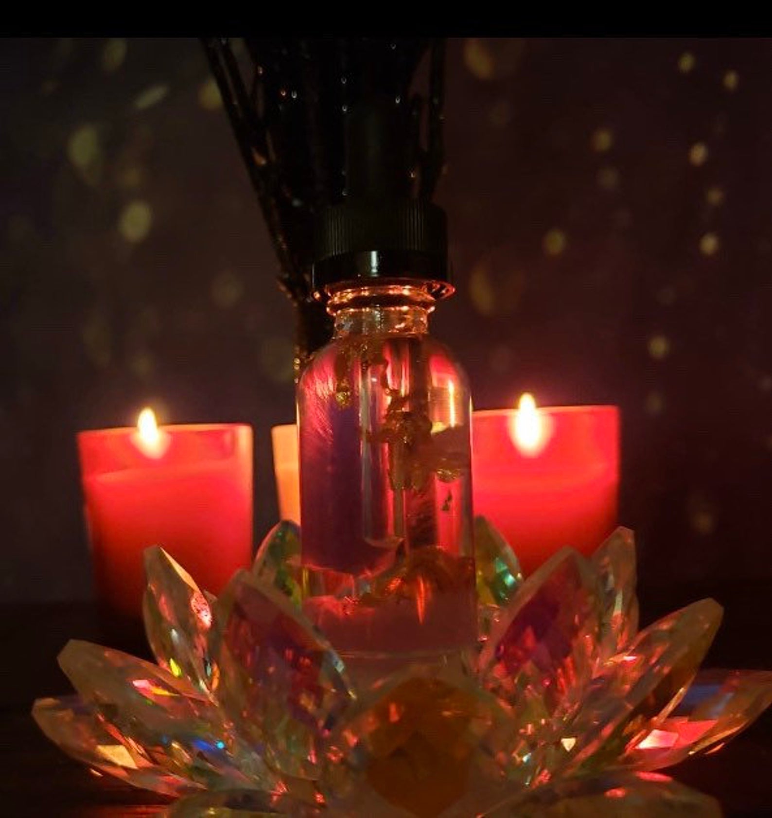 Aphrodisiac Love Potion – The Order